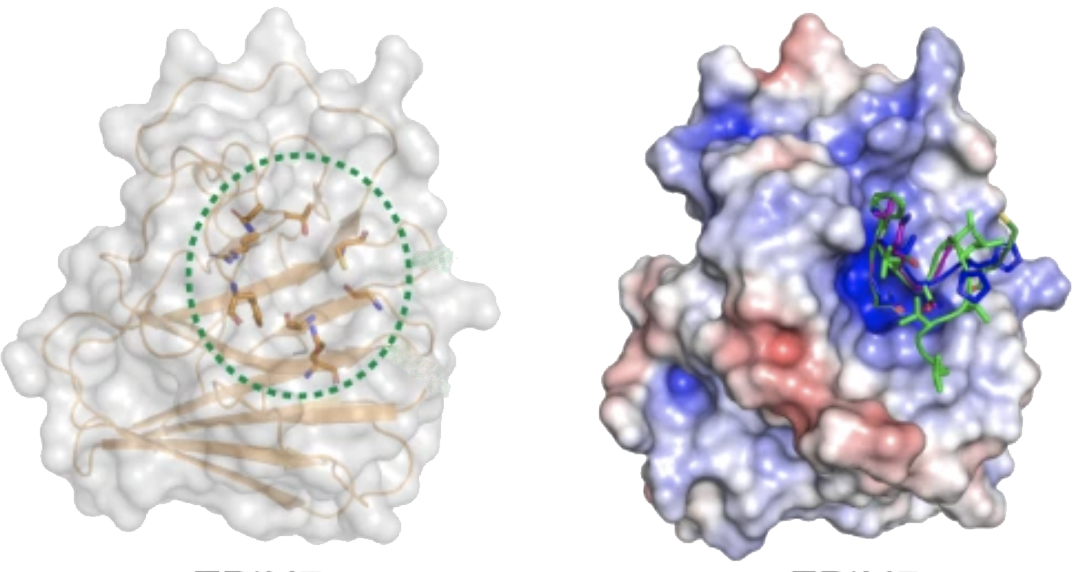 Our news release and publications